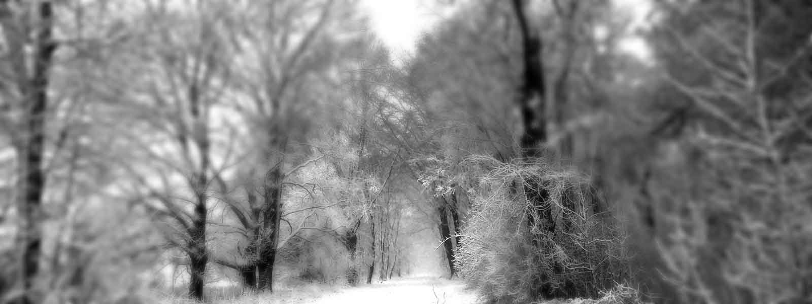 winter-footer-2 – Waldbaden NRW